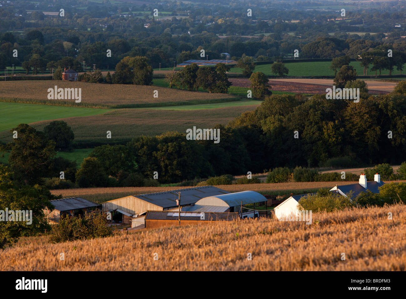 Patchwork fields in countryside near Cullompton, Devon, England, United ...