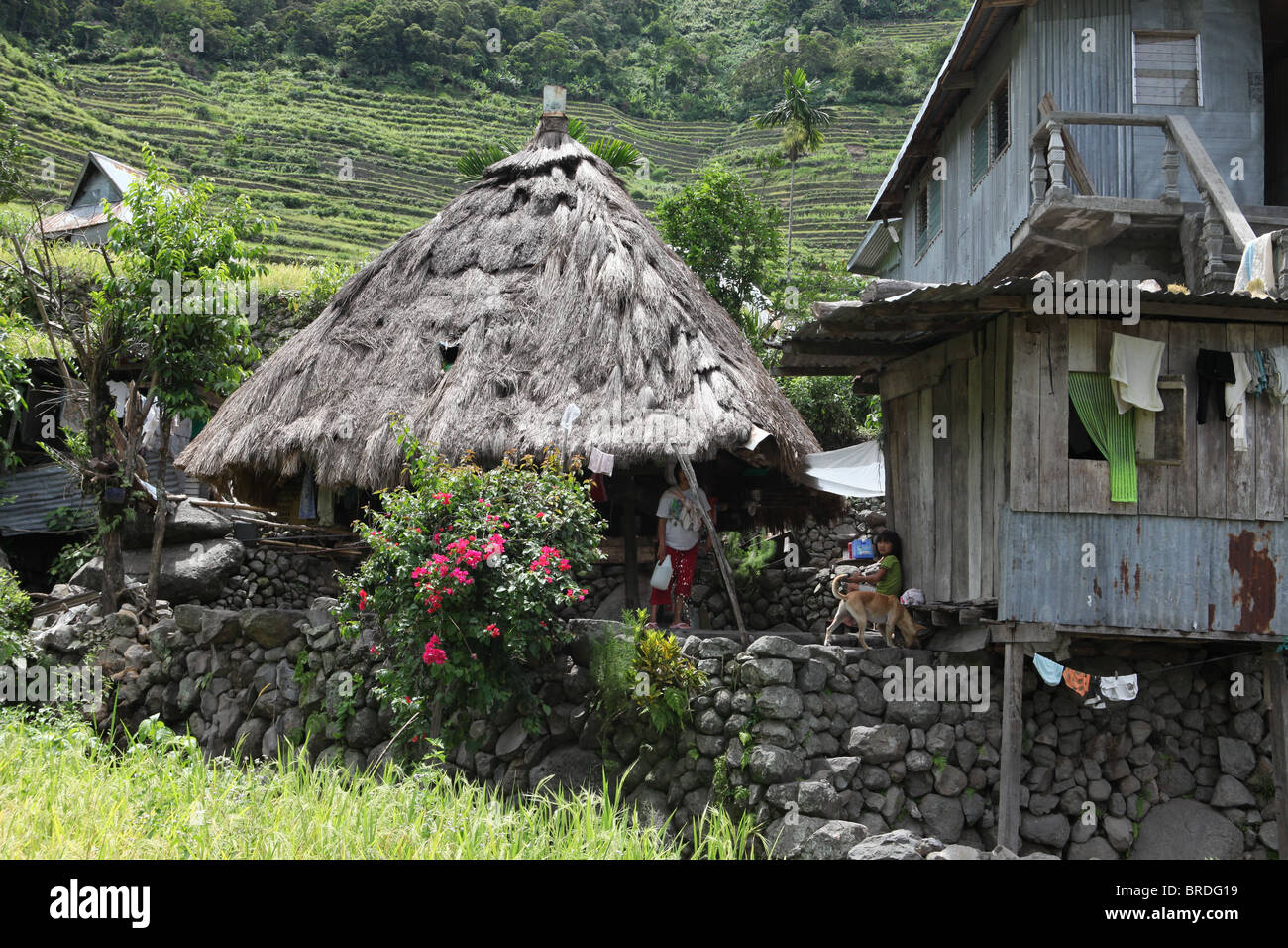 The Rice Terraces of the Philippine Cordilleras are an outstanding ...