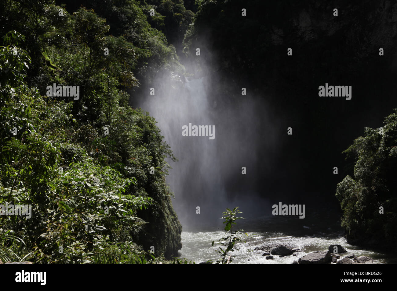The Rice Terraces of the Philippine Cordilleras are an outstanding ...