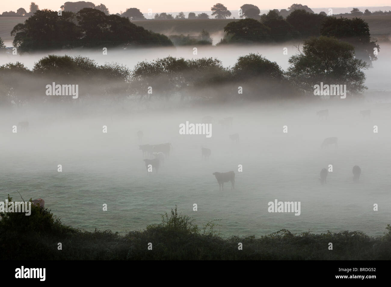 Patchwork fields in countryside near Langford, Devon, England, United ...