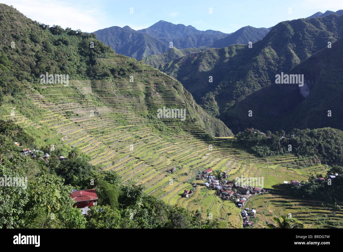 The Rice Terraces of the Philippine Cordilleras are an outstanding ...