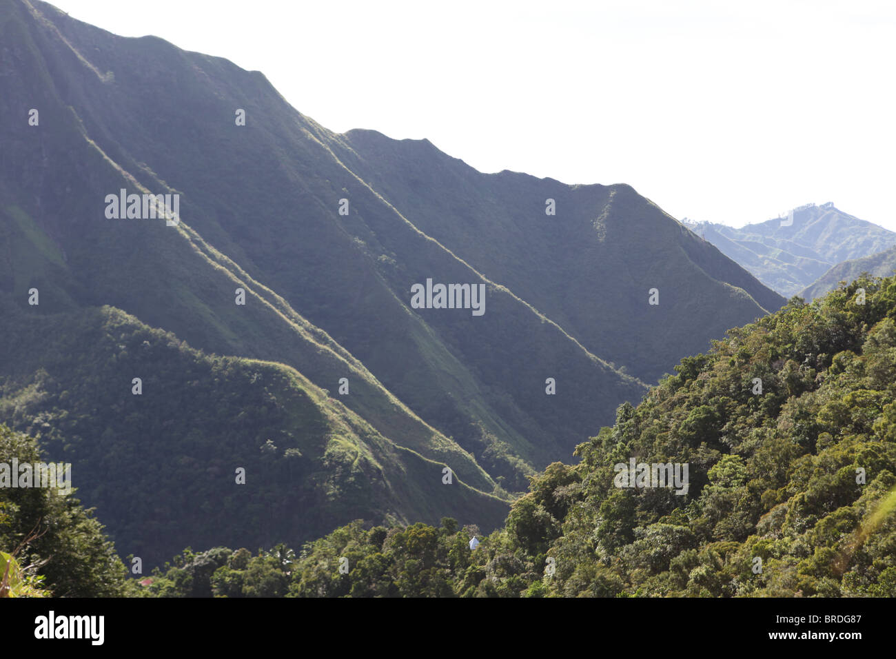The Rice Terraces of the Philippine Cordilleras are an outstanding ...