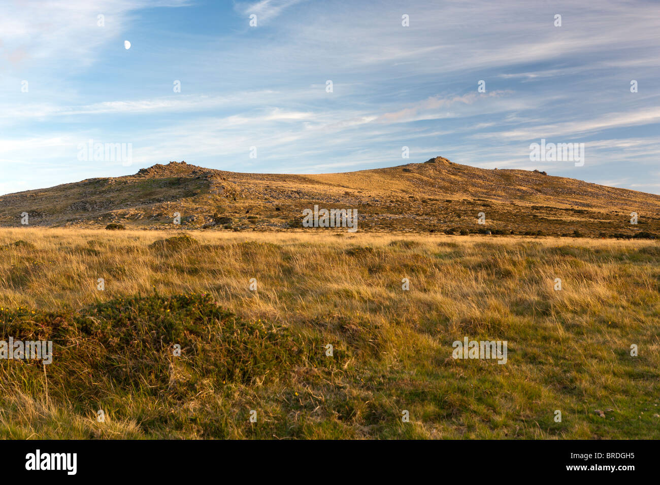 Belstone Common, view towards Belstone Tor in the Dartmoor National ...