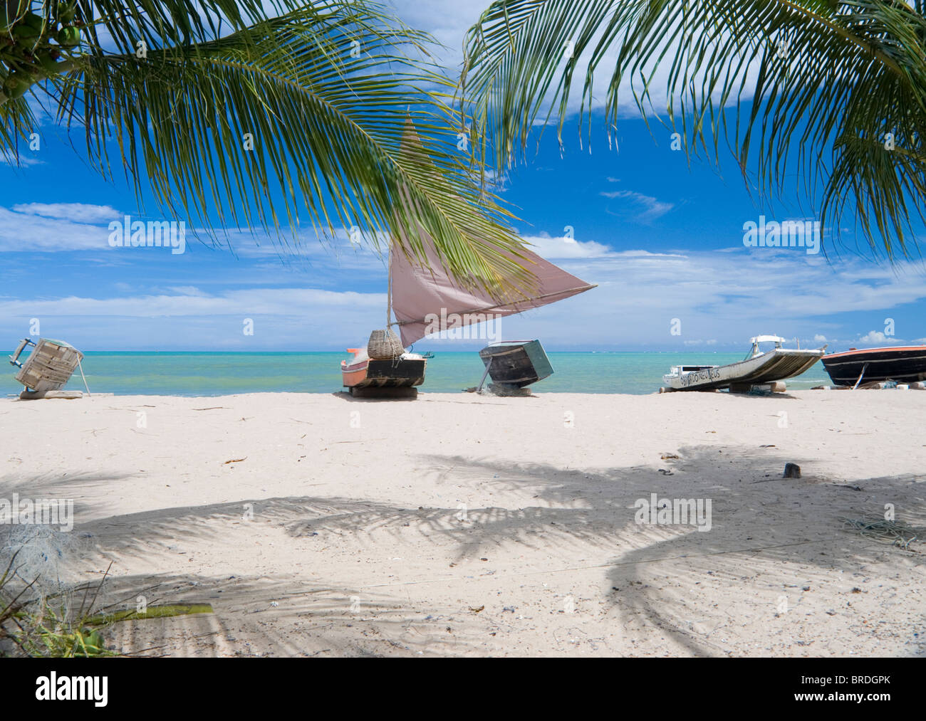 Jangada Praia de Japaratinga Alagoas Brasil Stock Photo - Alamy