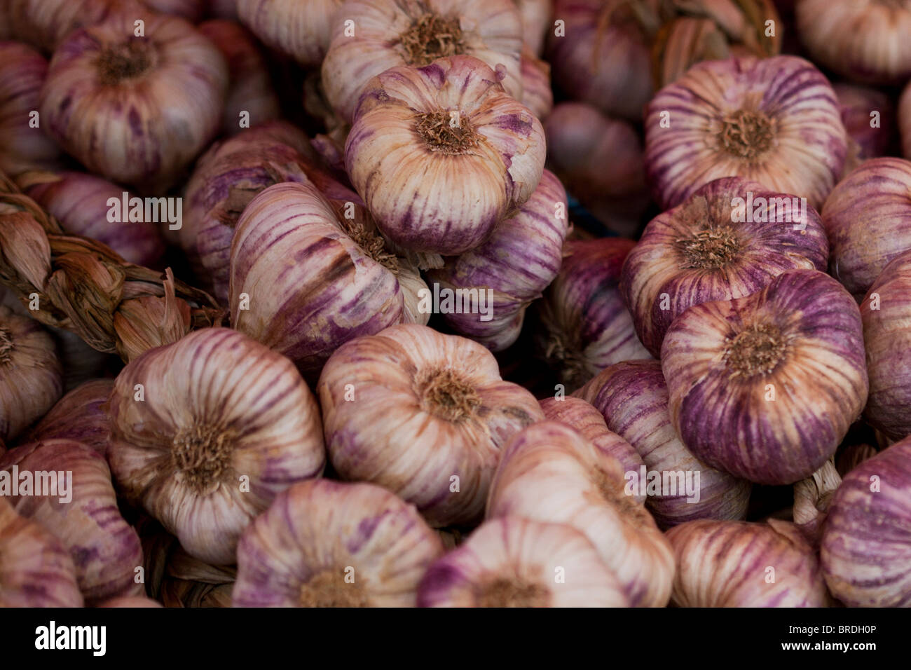 Fresh garlic bulbs hi-res stock photography and images - Alamy