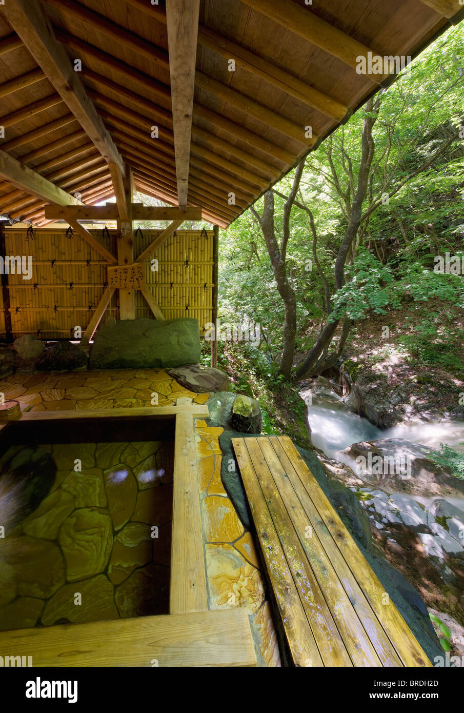 Rotenburo, outdoor onsen, facing green foliage and next to a clear ...