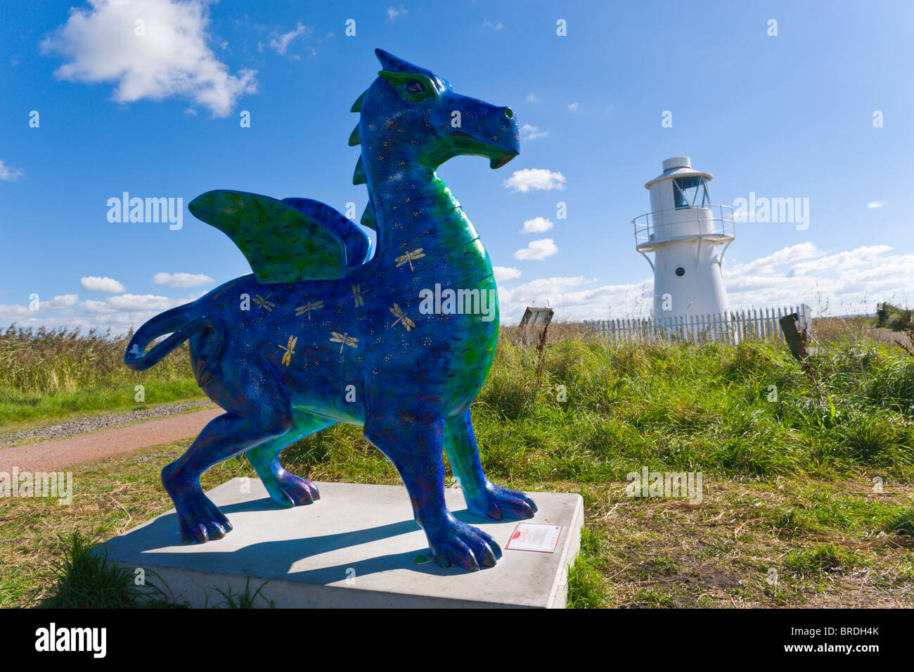 Gwas y neidr hi-res stock photography and images - Alamy