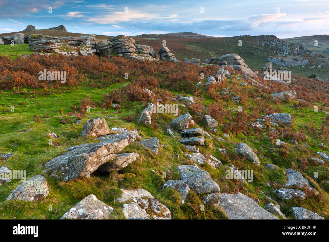 Tracey stone hi-res stock photography and images - Alamy