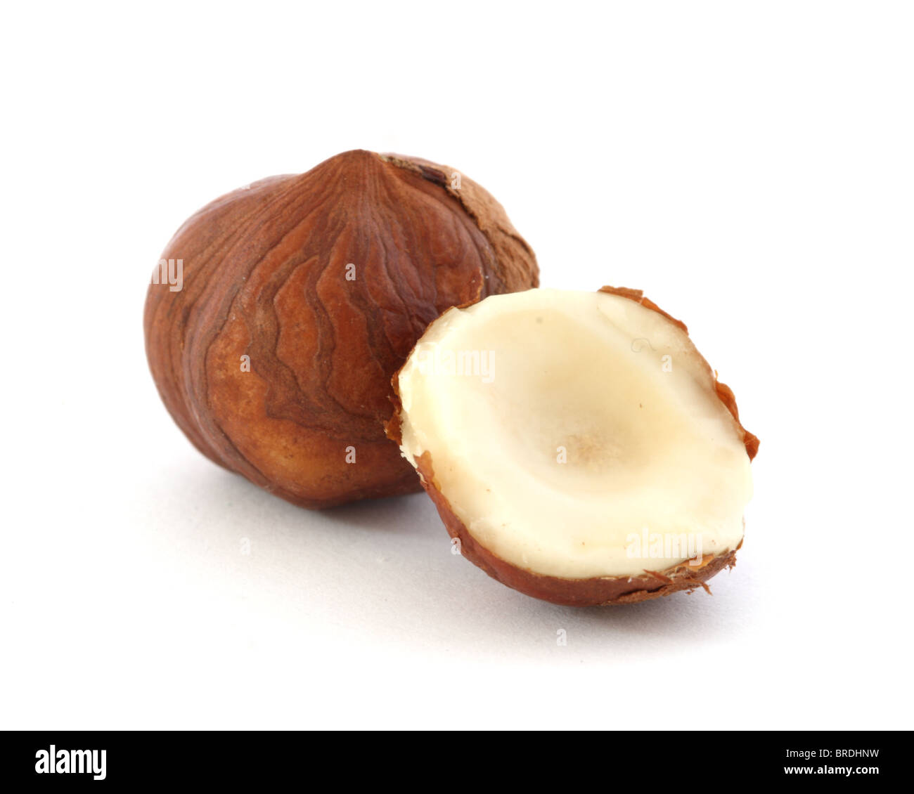 Two peeled hazelnuts - one whole and one half on white background Stock ...
