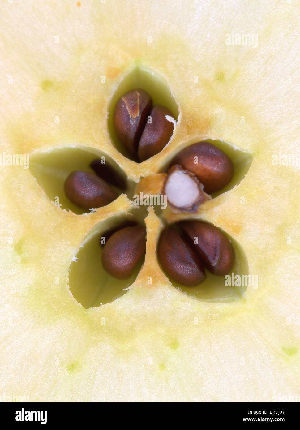 Apple seeds star hi-res stock photography and images - Alamy