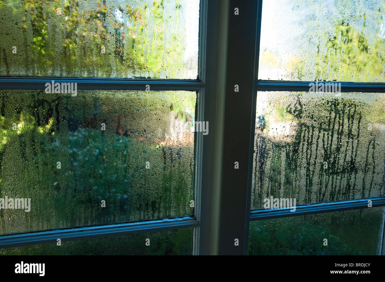 Condensation running down a single-glazed window. ( selective focus ...