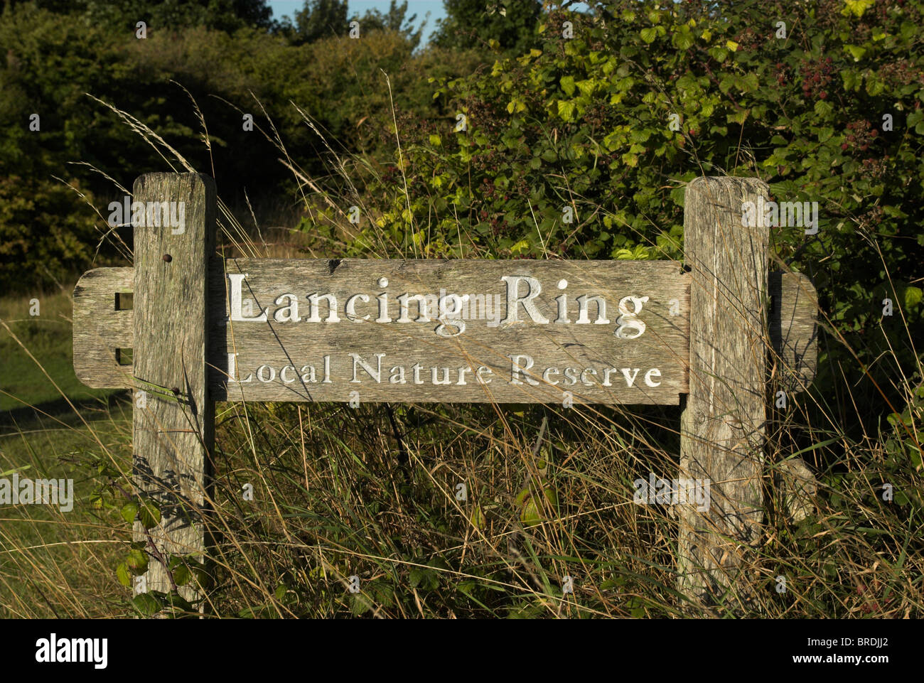 Sign board for Lancing Ring on the South Downs in West Sussex Stock ...