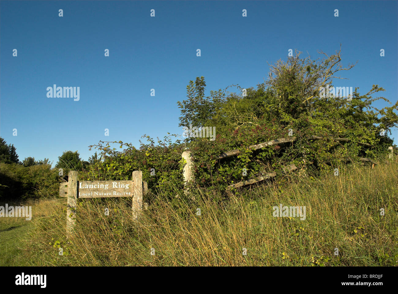 Sign board for Lancing Ring on the South Downs in West Sussex Stock ...