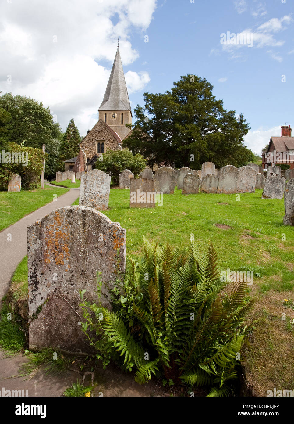 Shere hi-res stock photography and images - Alamy