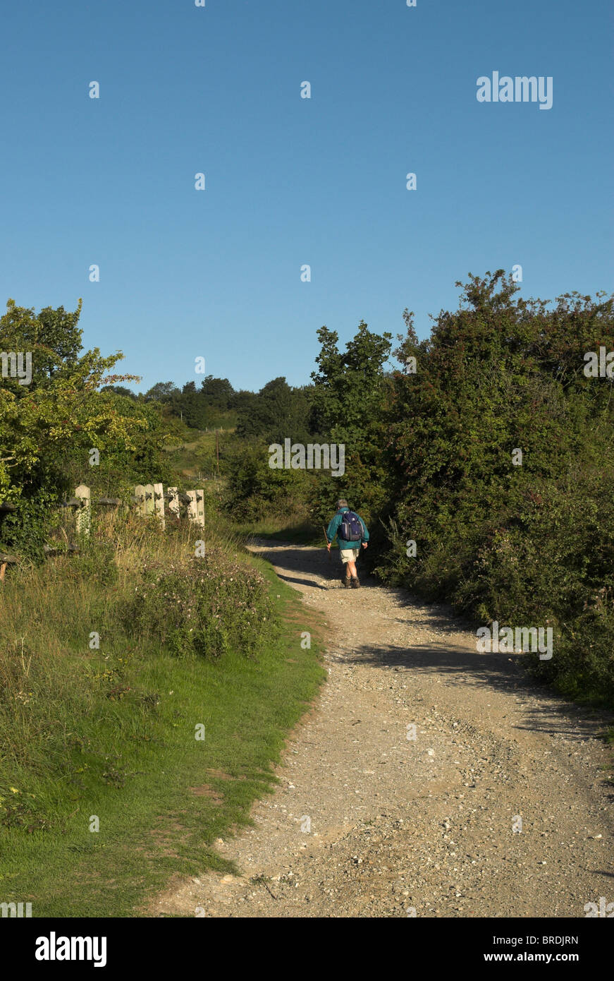 Walking up to Lancing Ring in the South Downs National Park, West ...