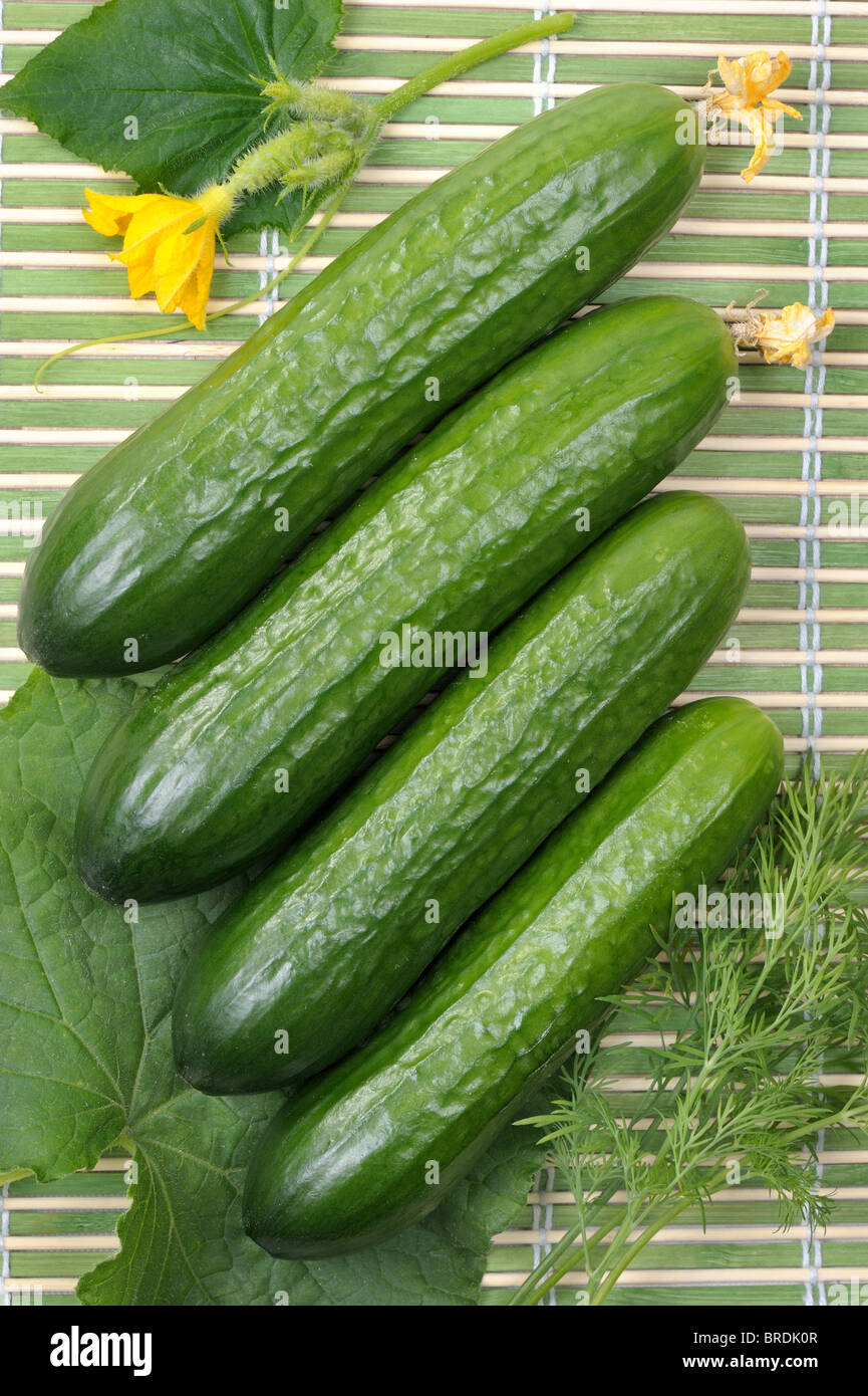 Smooth cucumbers hi-res stock photography and images - Alamy