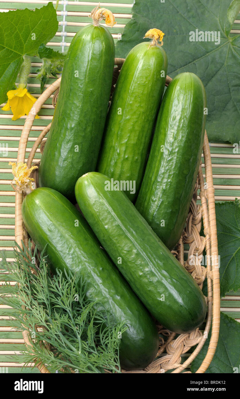 Smooth cucumbers hi-res stock photography and images - Alamy