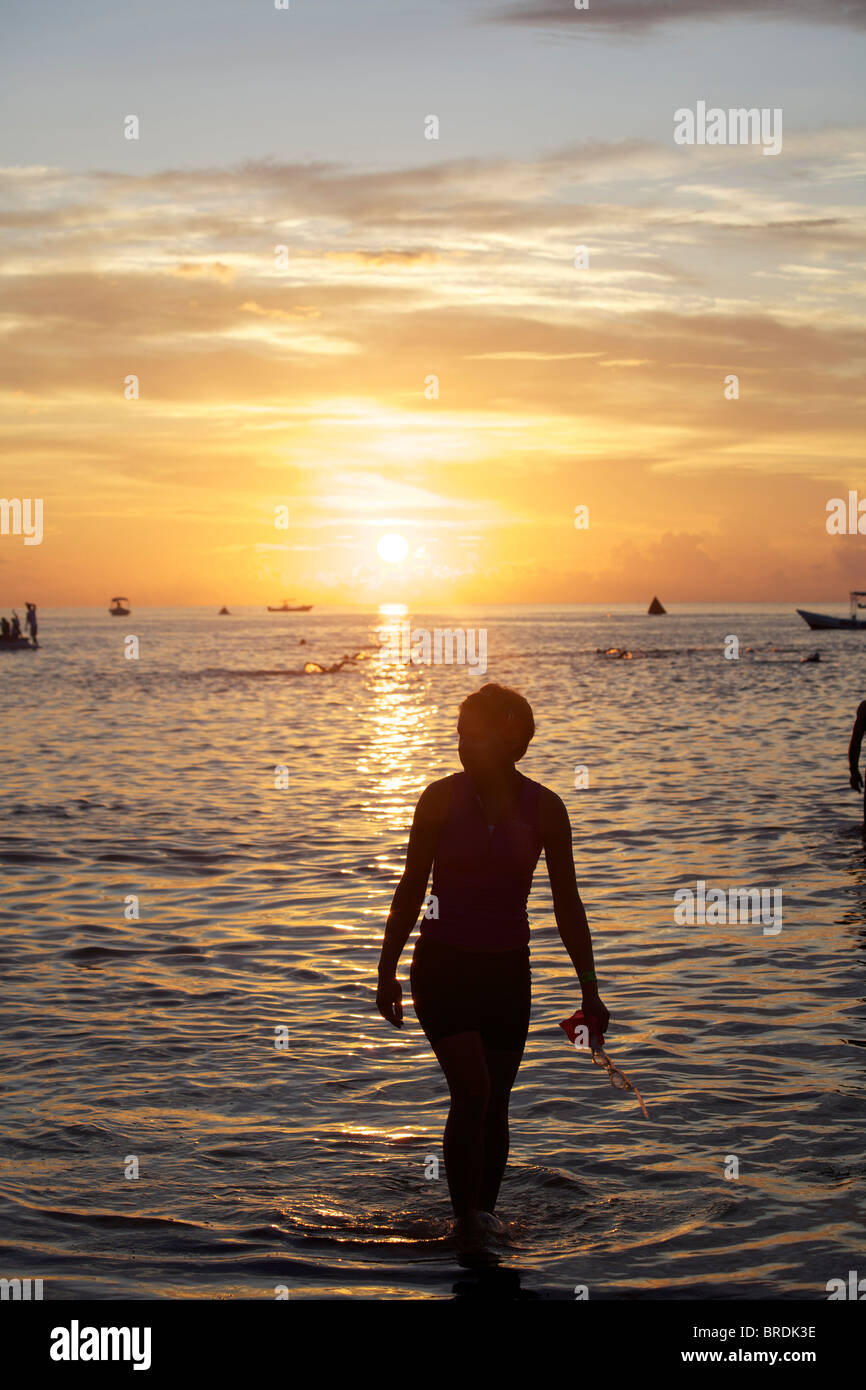 A female swimmer outline hi-res stock photography and images - Alamy
