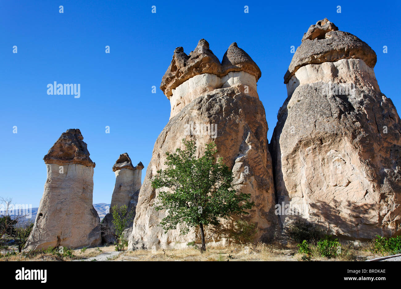 Landscape of limestone fairy chimneys, Zelve, Cappadocia, Turkey Stock ...