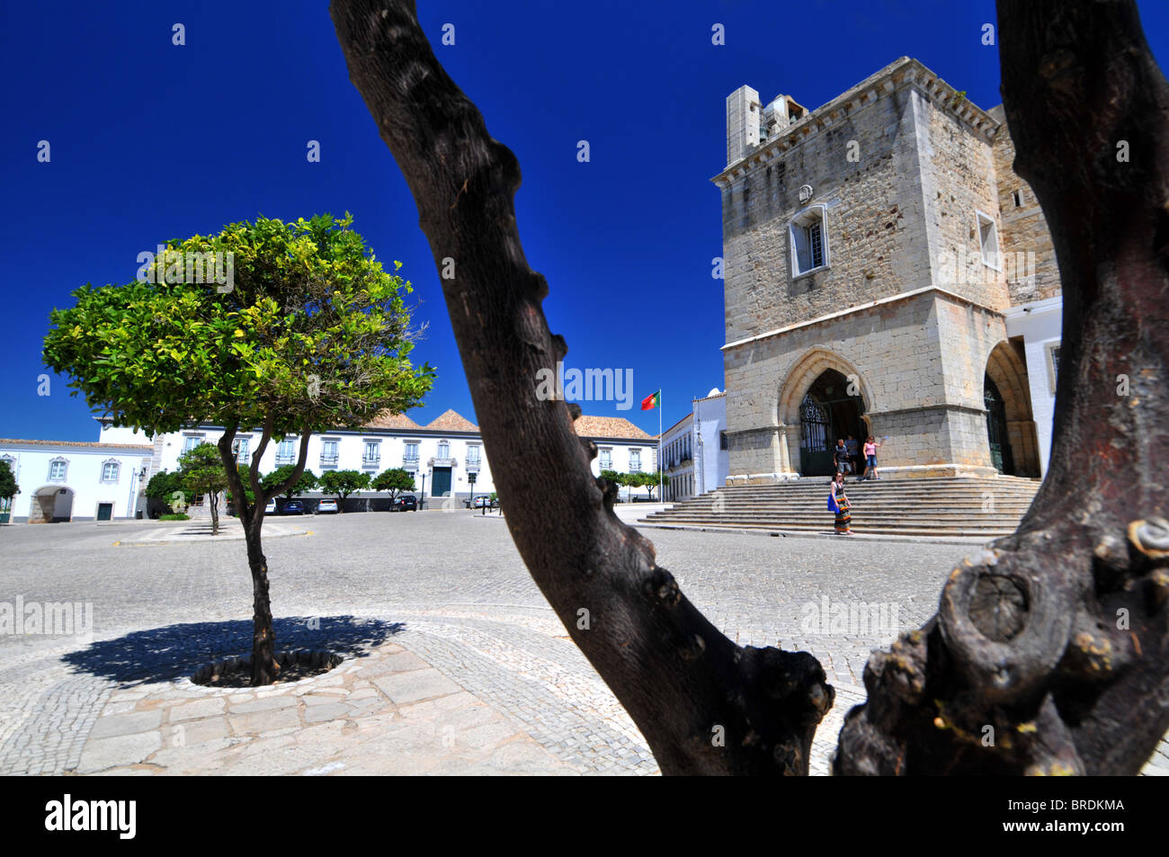 Cathedral in square of Largo da Se Cathedral, Faro old town, Portugal ...
