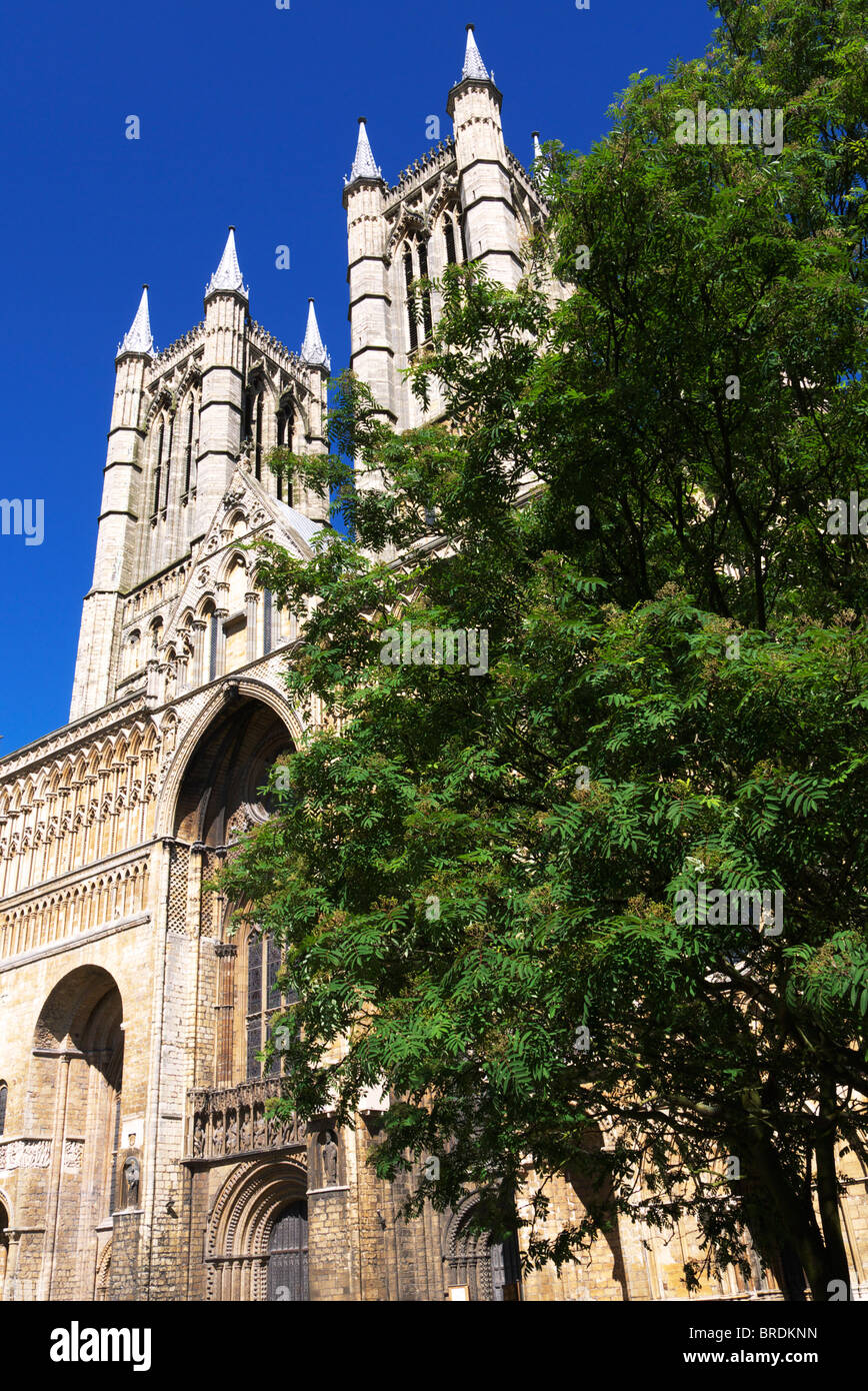 Ornamental cherry tree by main entrance of Lincoln cathedral Stock ...