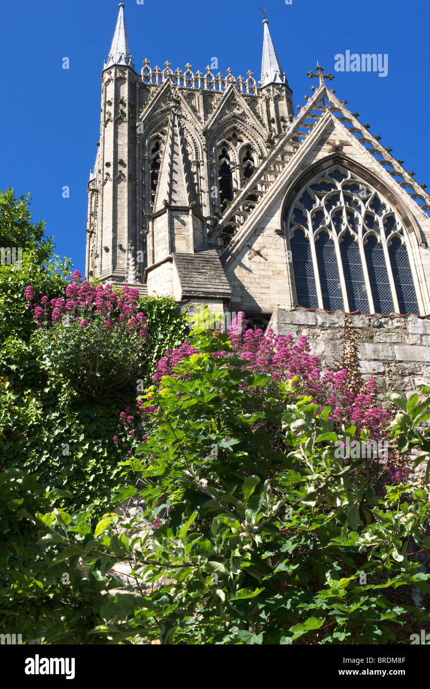 Lincoln cathedral from the bishops place Stock Photo - Alamy