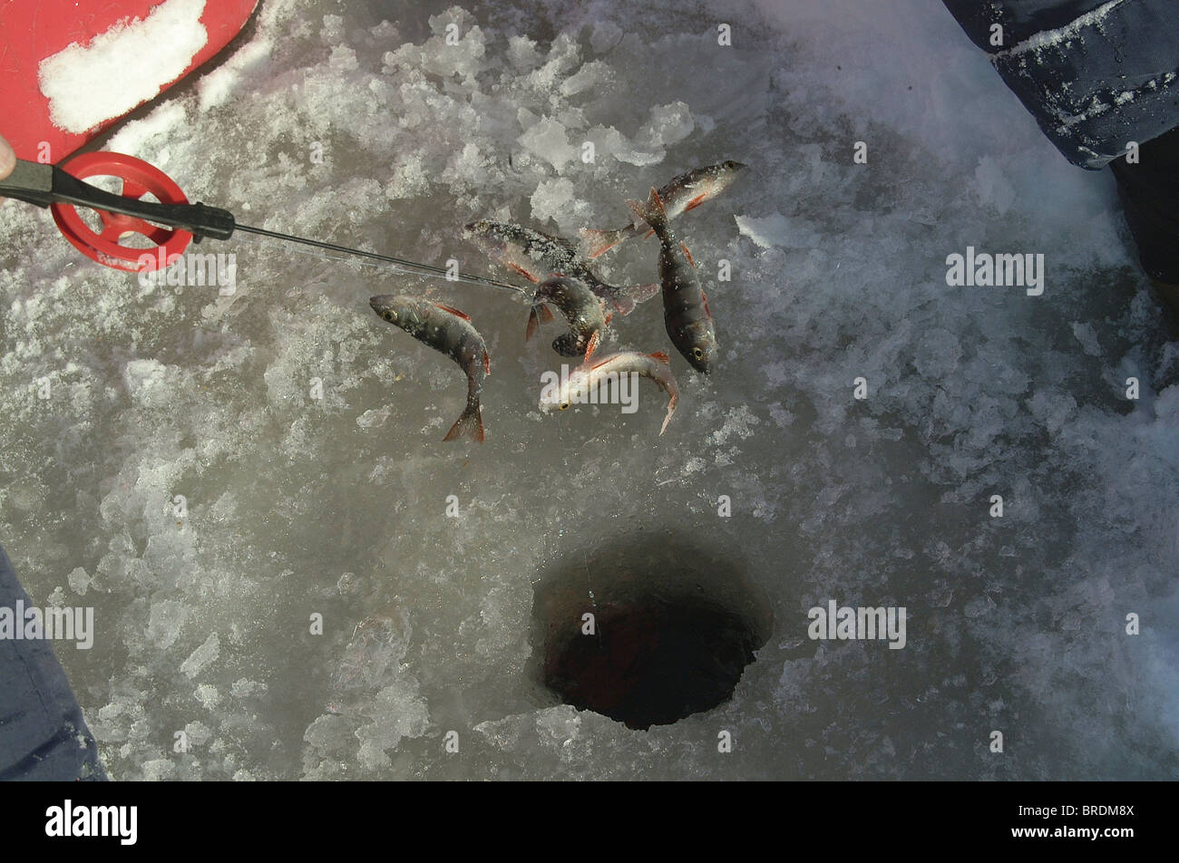 Ice jig hi-res stock photography and images - Alamy