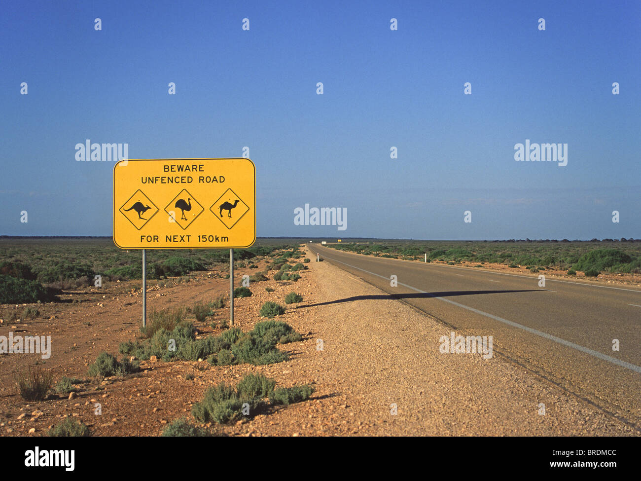 Road sign, Kangeroo, Emu, Camels, beware Stock Photo - Alamy