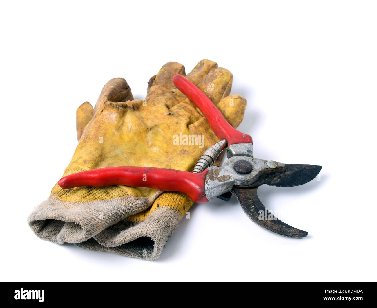 Main equipment for gardening activities on a white background Stock ...