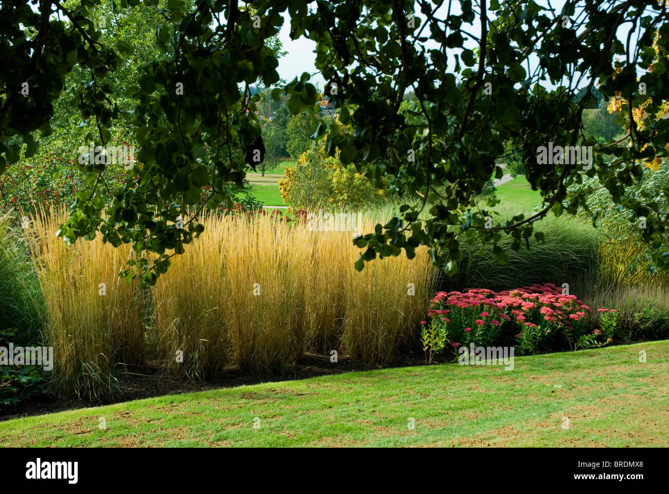 Autumn flower border Stock Photo - Alamy