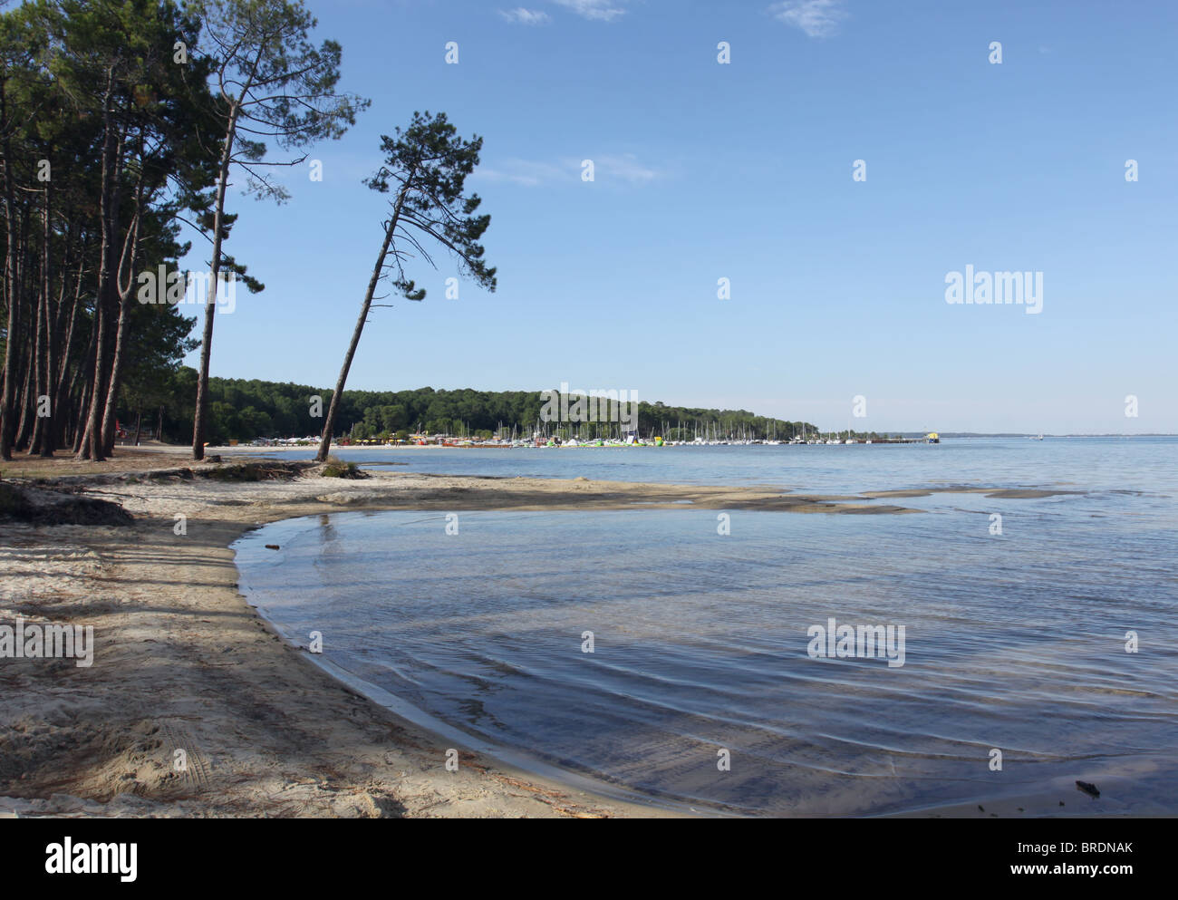shore of lac de Cazaux et de Sanguinet France September 2010 Stock ...