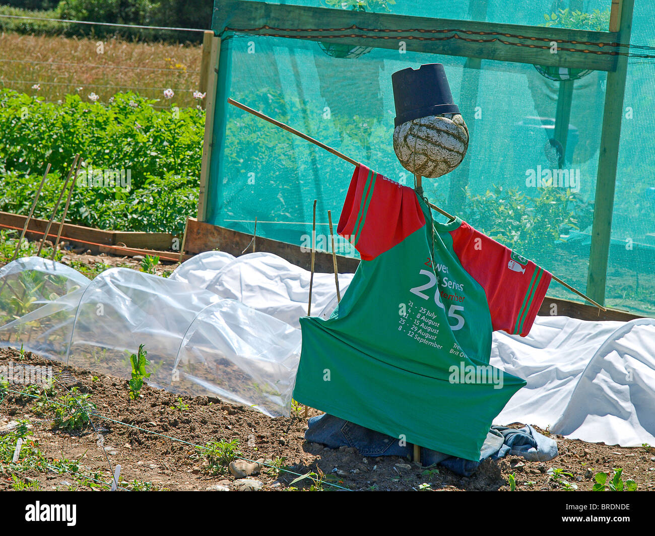Funny scarecrow wearing 'football shirt' at allotment Stock Photo - Alamy