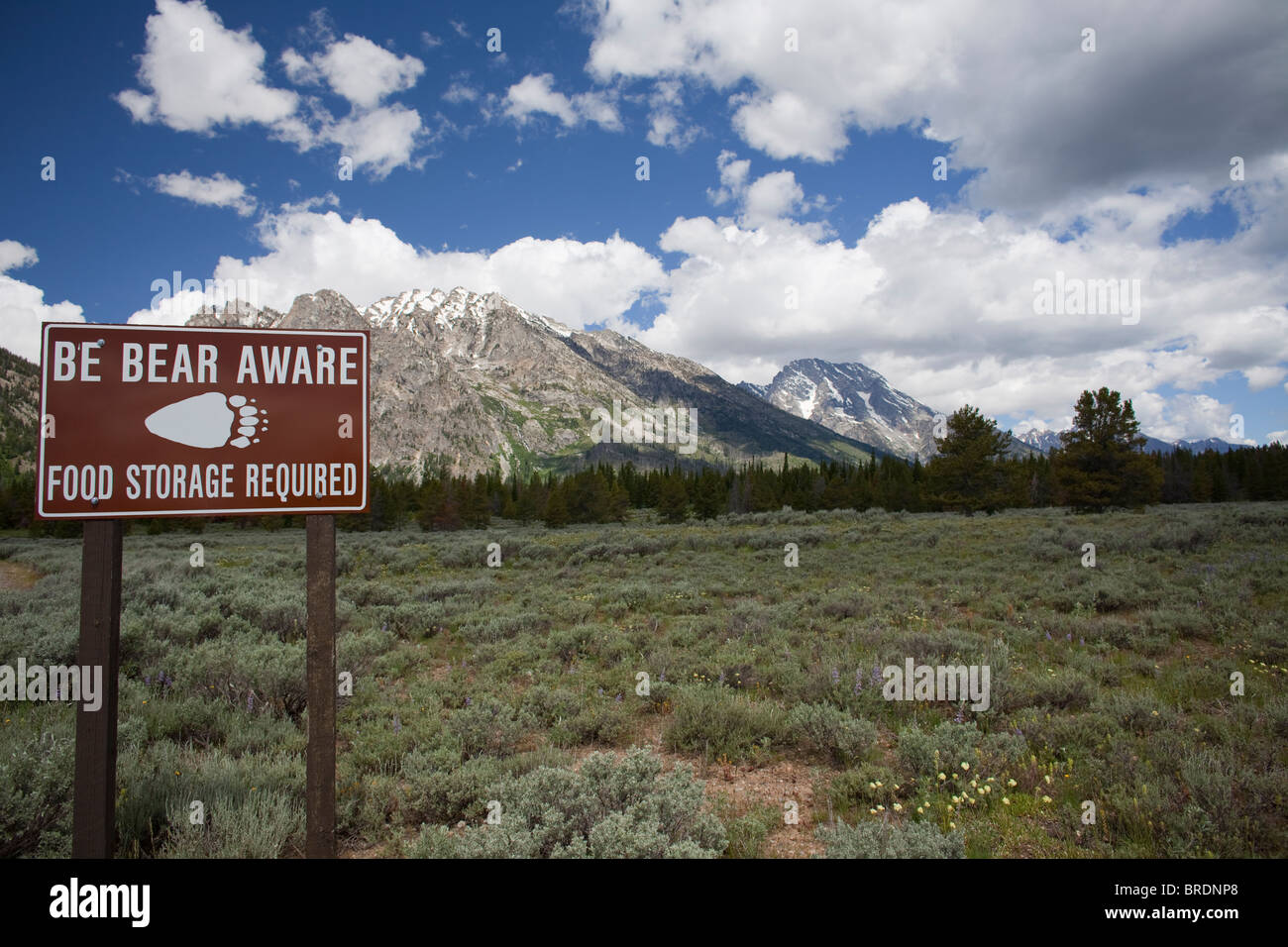 Bear warning sign Stock Photo - Alamy