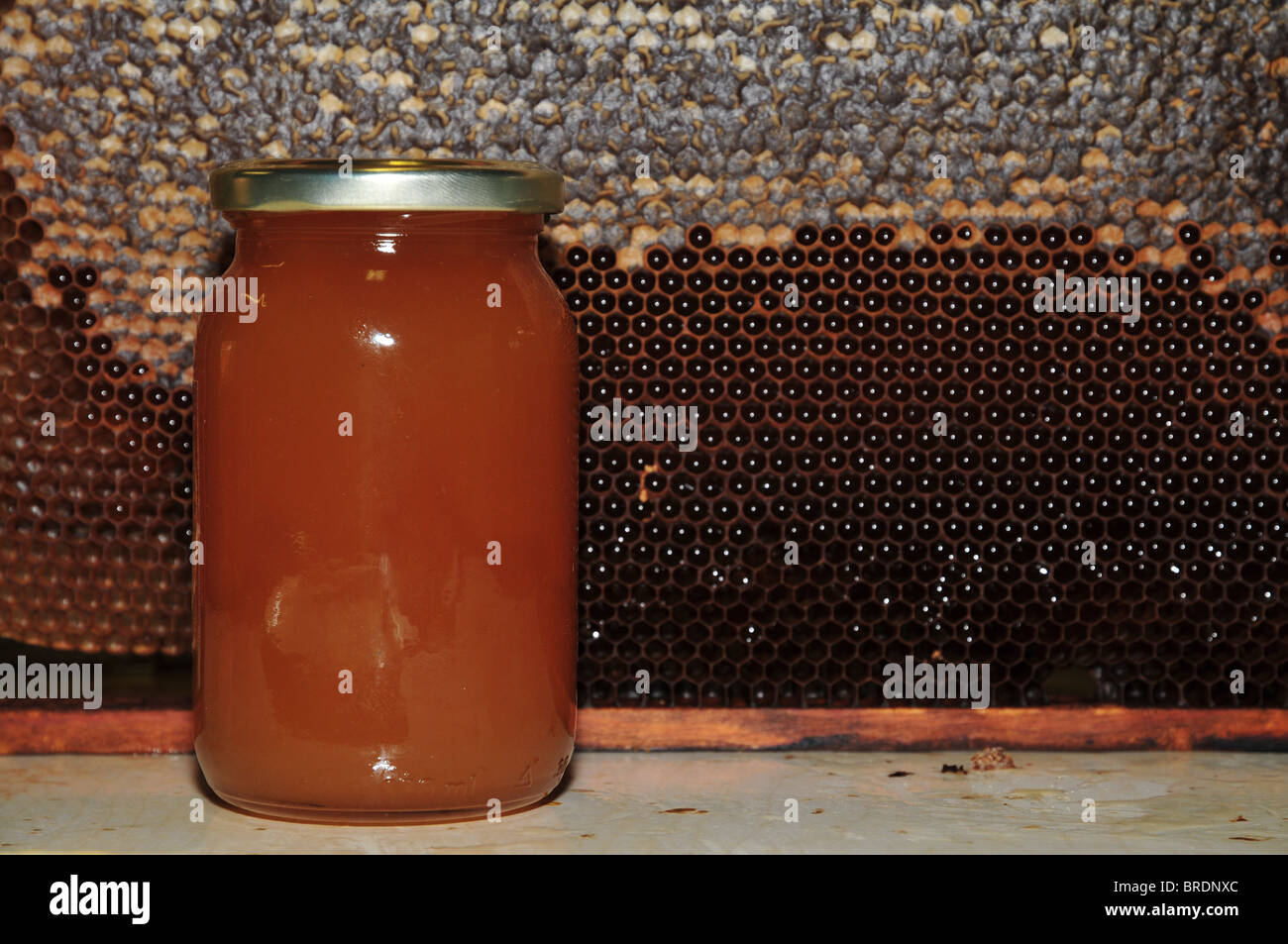 Beehive - honey extraction Stock Photo - Alamy