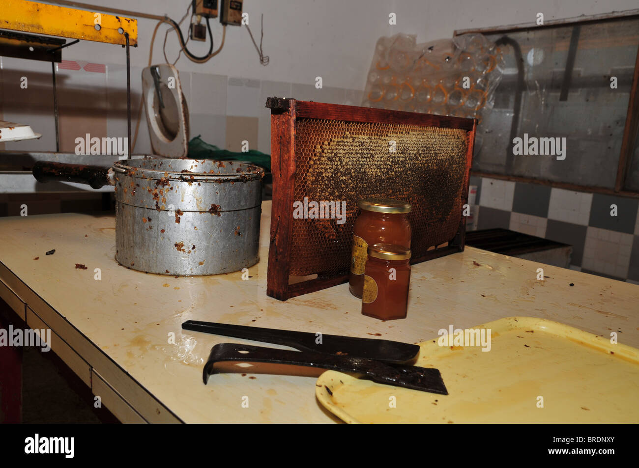 Cell extraction hi-res stock photography and images - Alamy