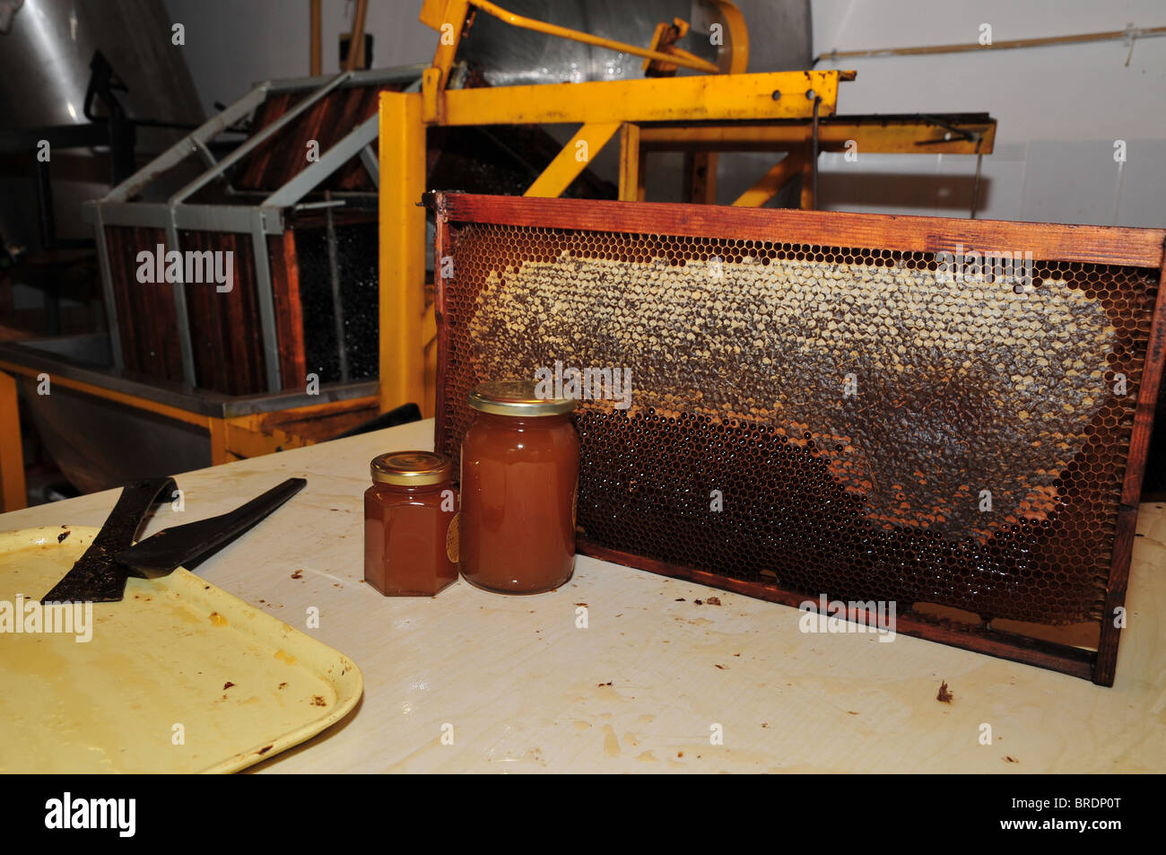 Cell extraction hi-res stock photography and images - Alamy