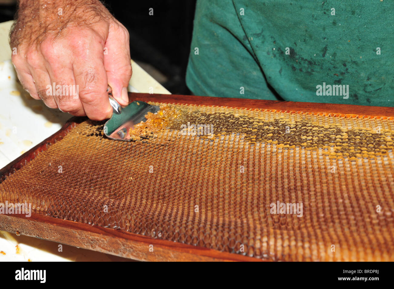 Beehive - honey extraction Stock Photo - Alamy