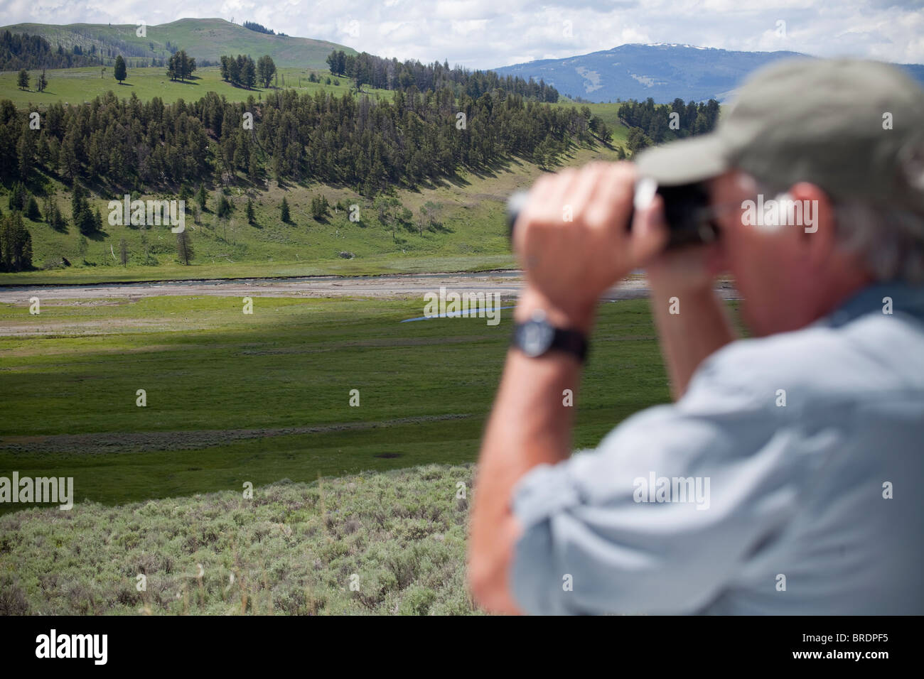 Man wildlife spotting yellowstone national park Stock Photo - Alamy