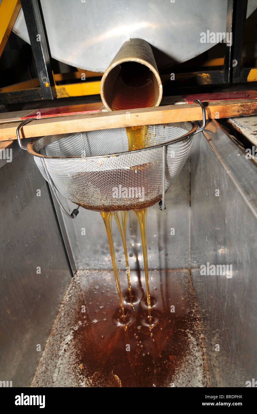 Beehive - honey extraction Stock Photo - Alamy