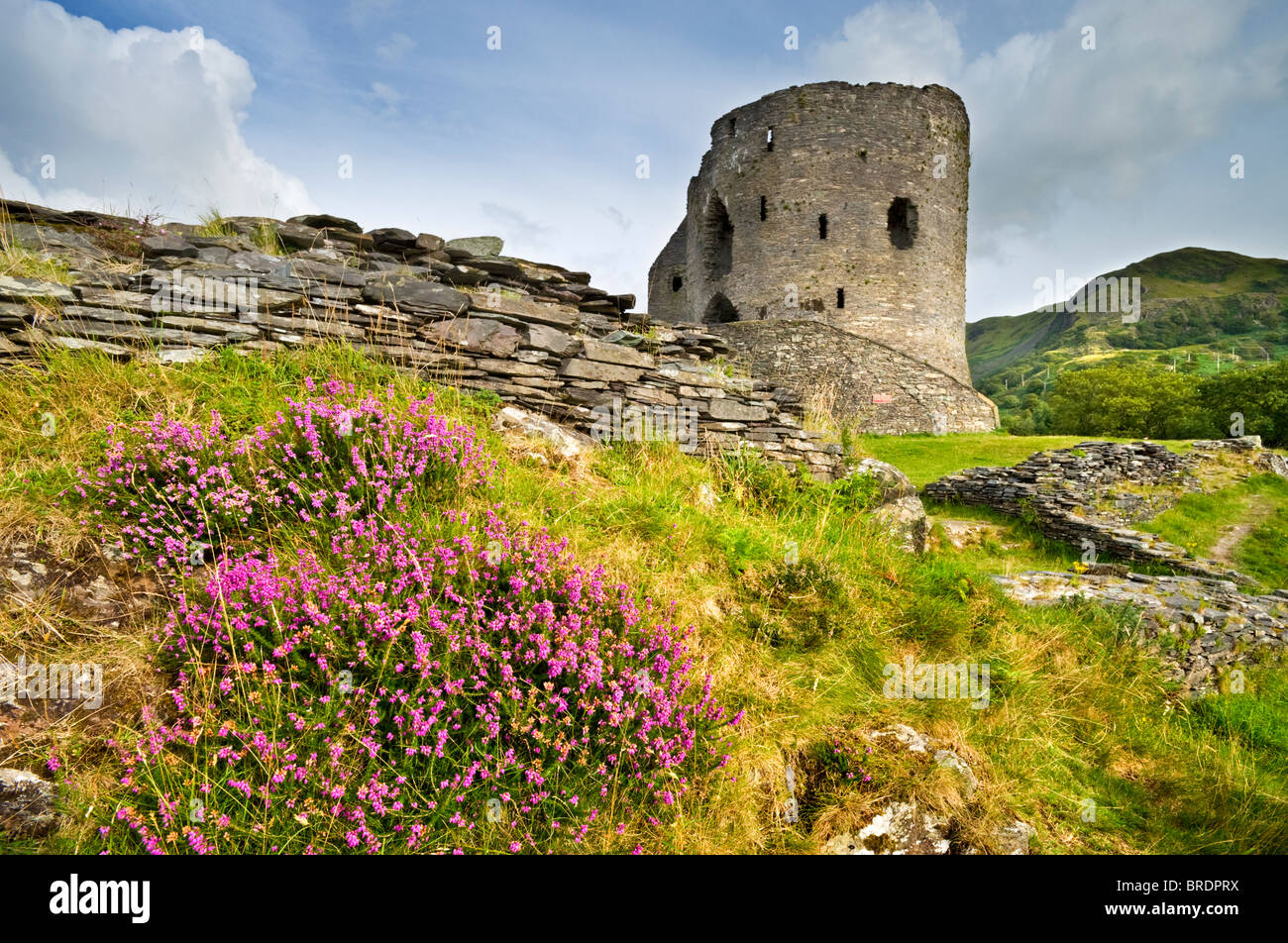 Dolbadarn Castle, Llanberis Pass, Gwynedd, Snowdonia National Park ...