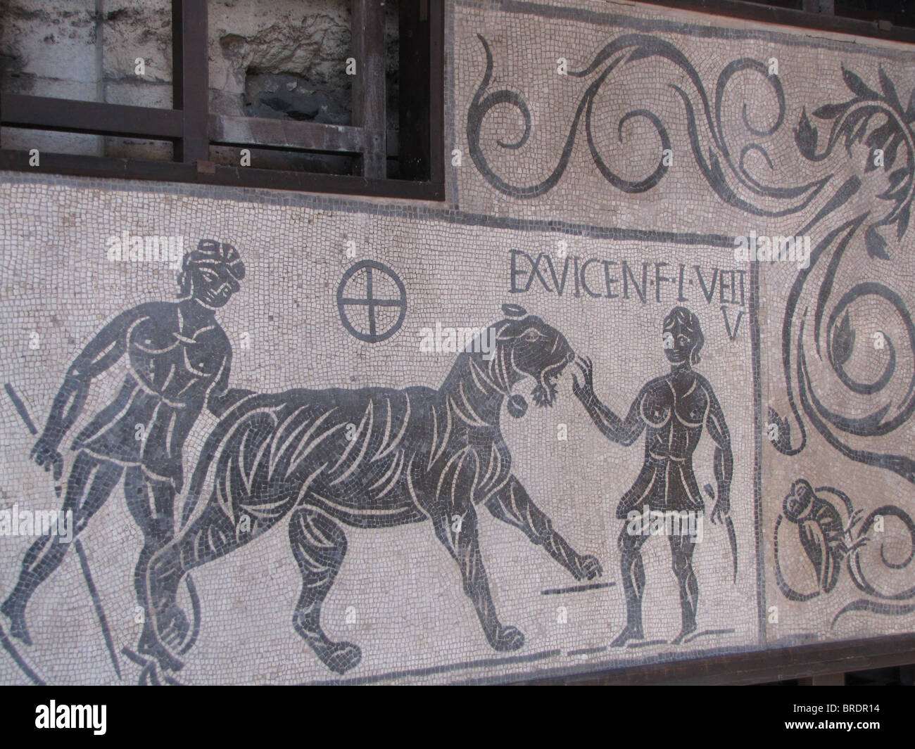 Roman gladiator mosaic hi-res stock photography and images - Alamy