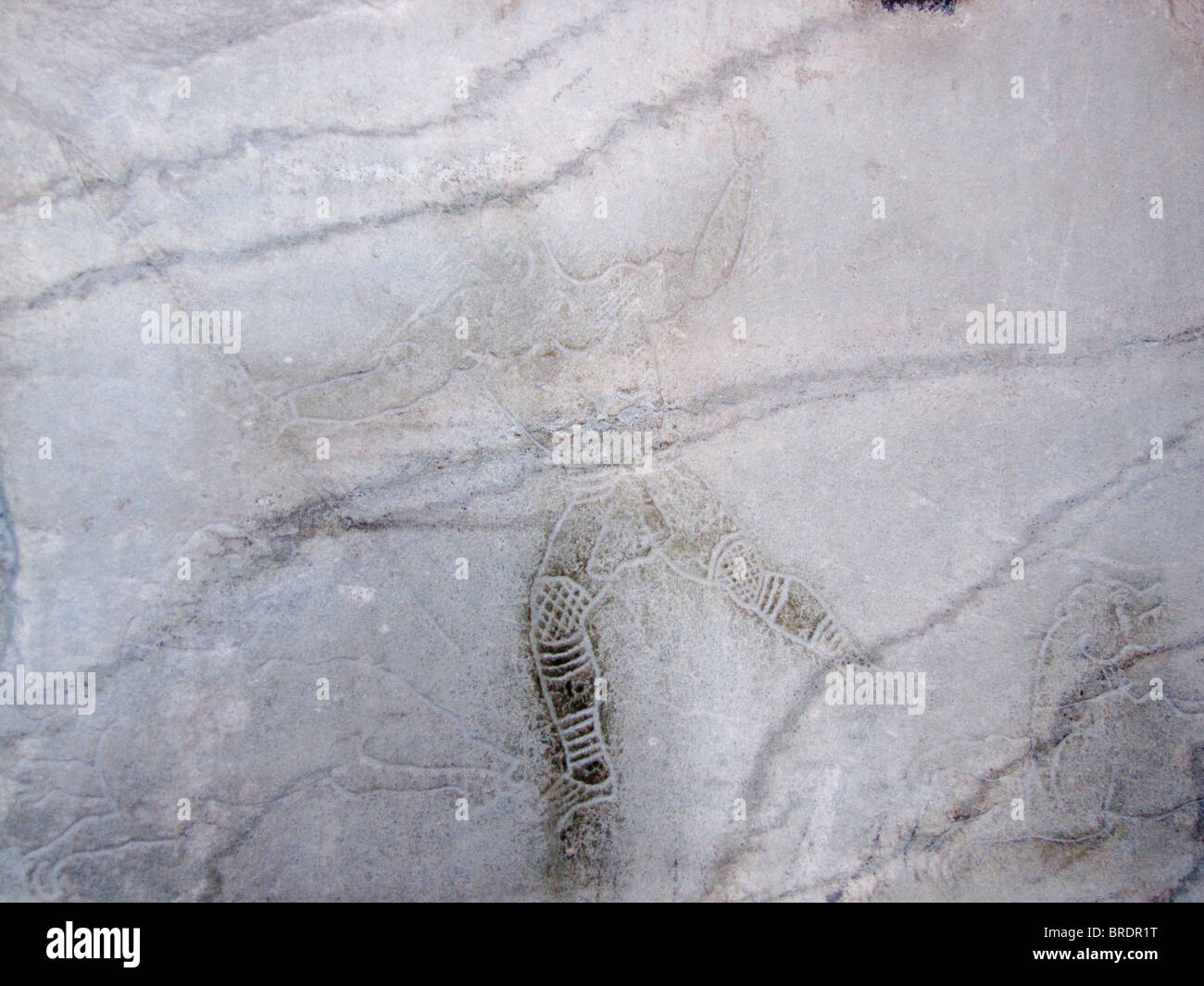 Italy, Rome, Colosseum, ancient graffiti of Gladiator Stock Photo - Alamy