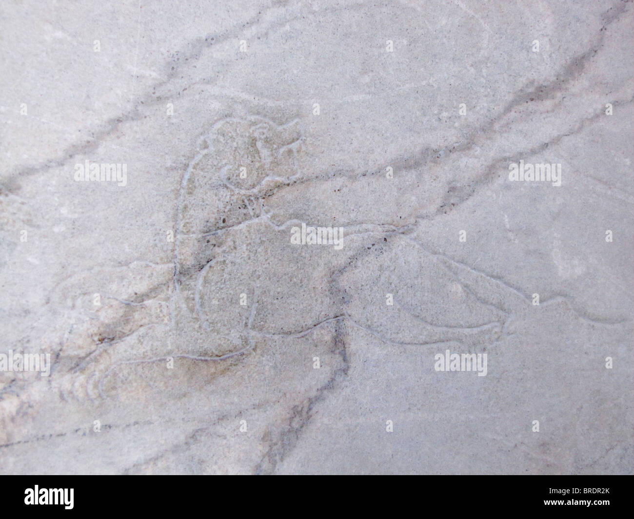 Roman graffiti hi-res stock photography and images - Alamy