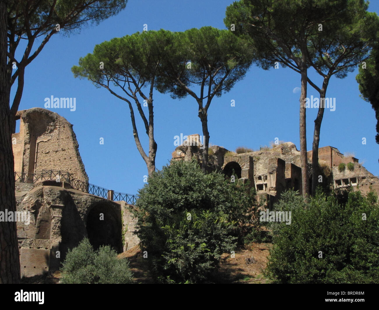 Palatino hi-res stock photography and images - Alamy