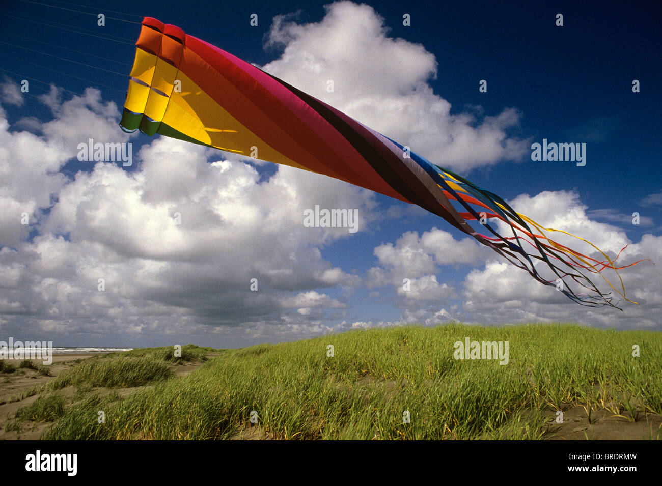 Huge multicolored single kite in blue sky at the International kite ...