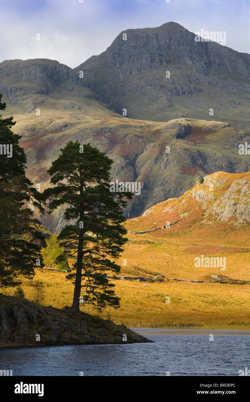 Blea Tarn, Lake District National Park, Cumbria, England UK Stock Photo ...