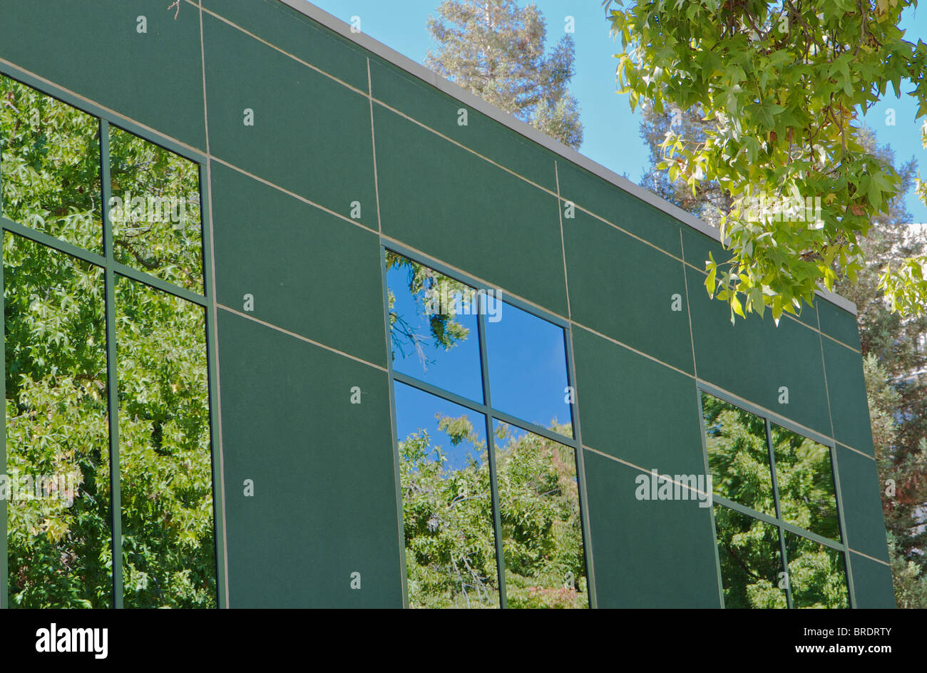 Trees and blue sky reflected on office windows with green wall Stock ...