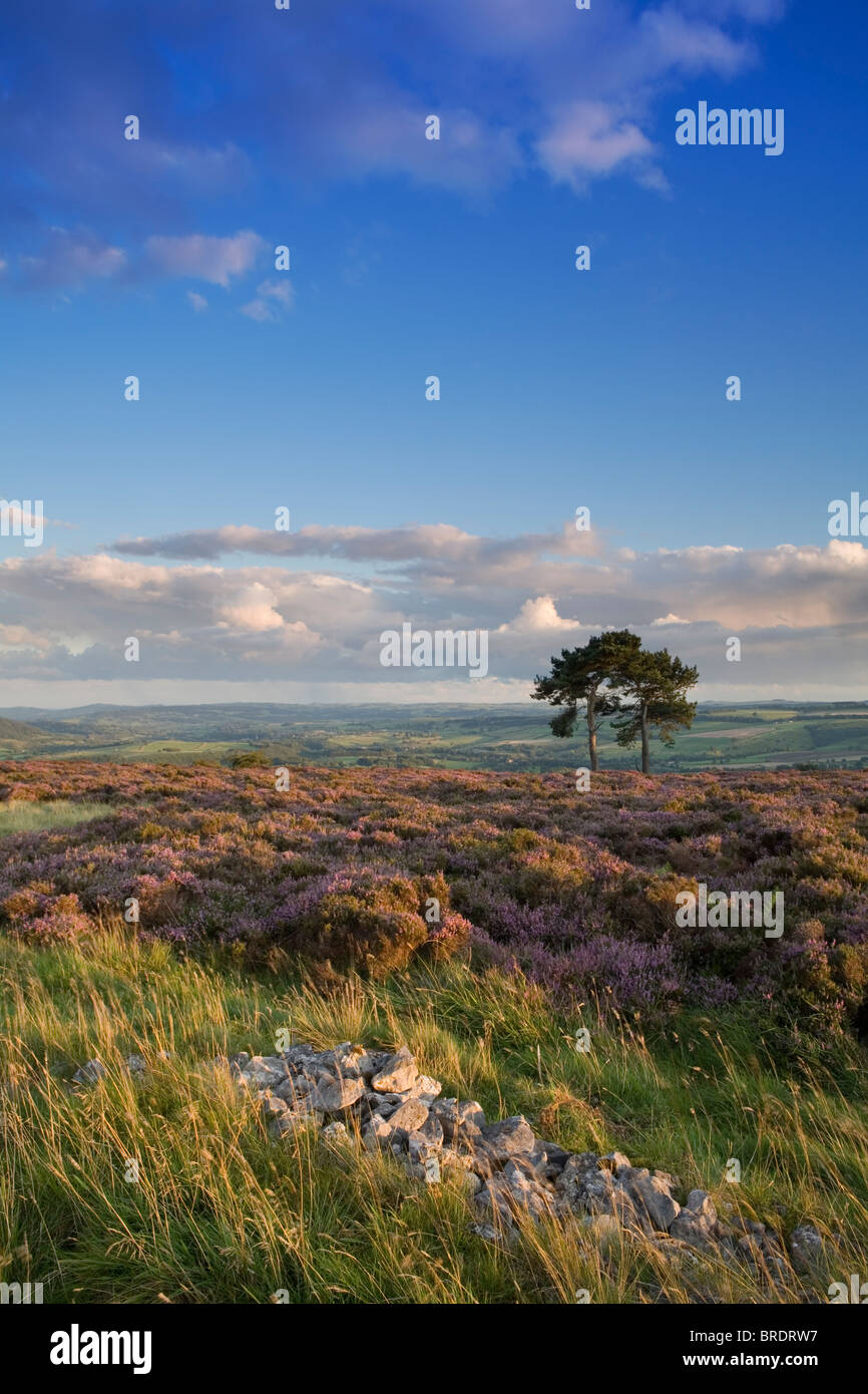 Longstone Moor, Peak District, Derbyshire, England, UK Stock Photo - Alamy
