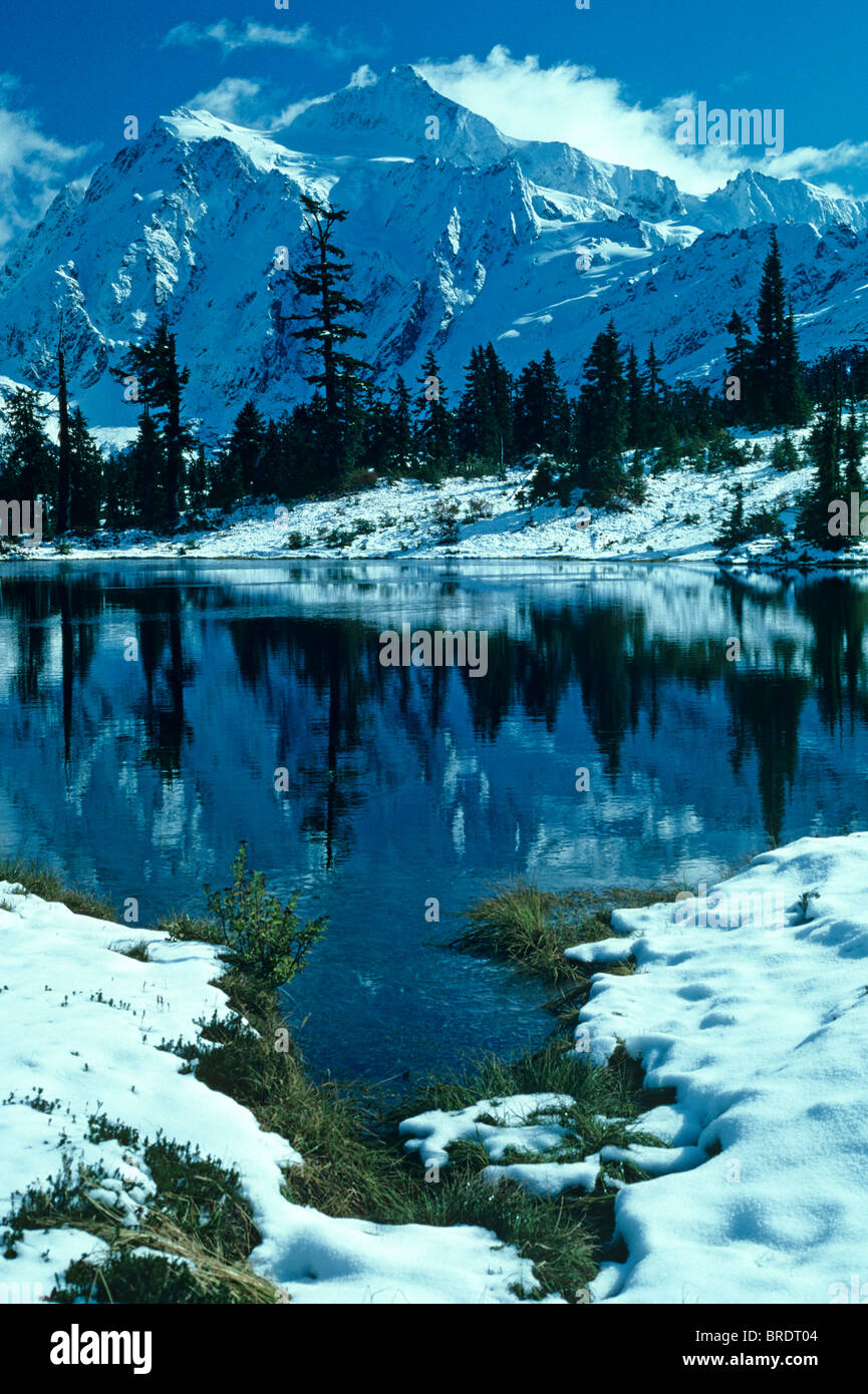 Picture Lake with shoreline covered with snow with Mount Shuksan in ...