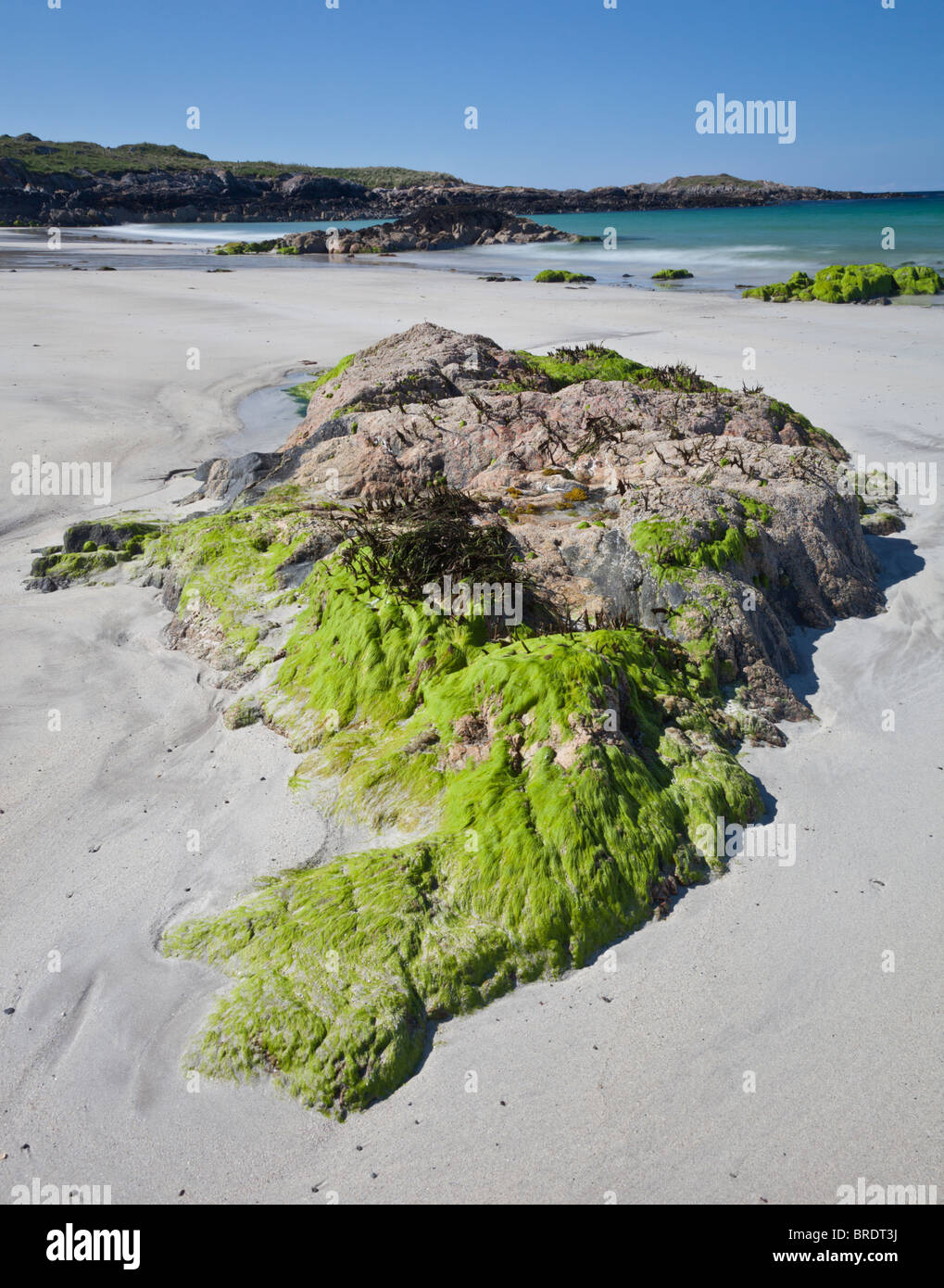 Water seaweed rocks hi-res stock photography and images - Alamy